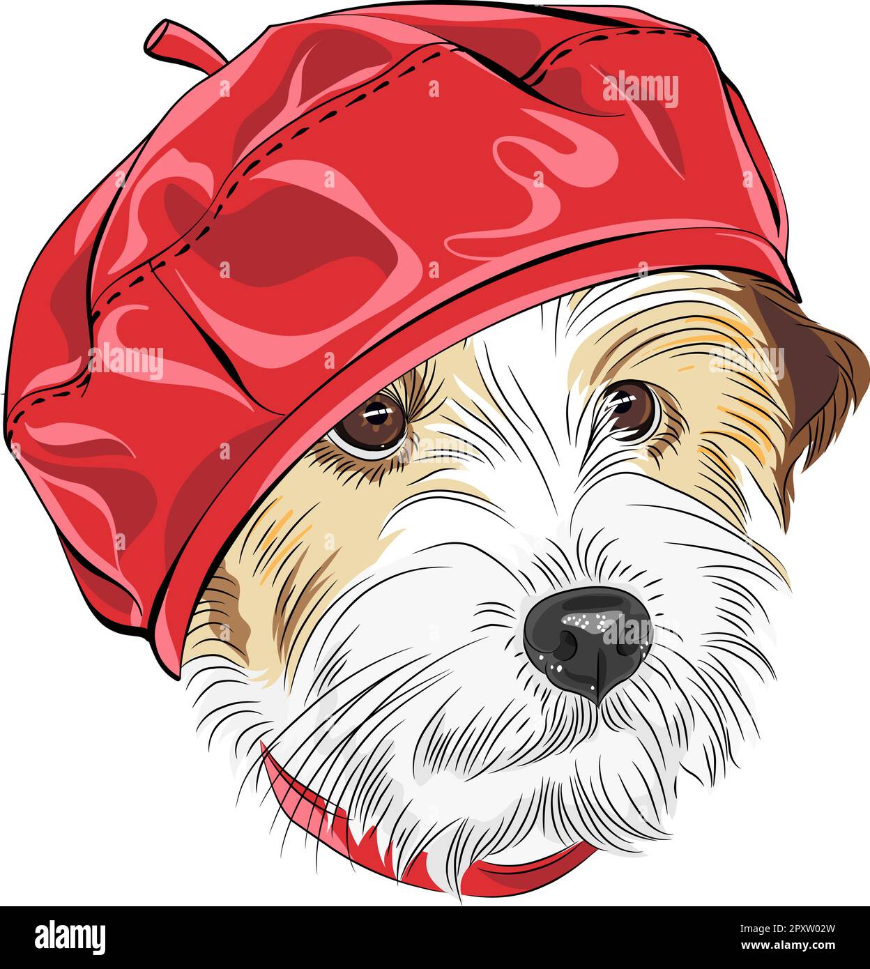 Vector color sketch of Wire-haired dog Jack Russell Terrier breed in ...