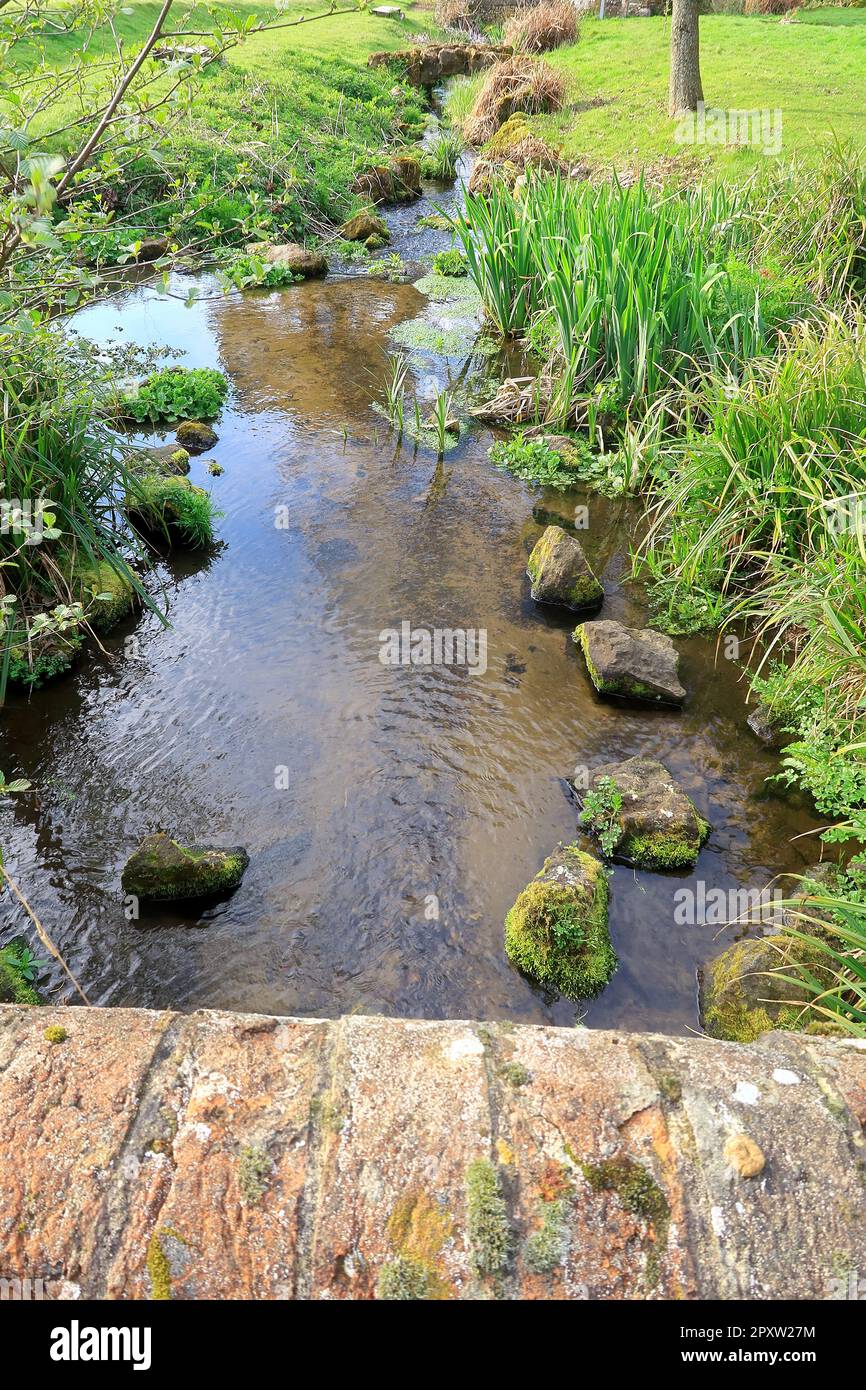 Surrry hi-res stock photography and images - Alamy
