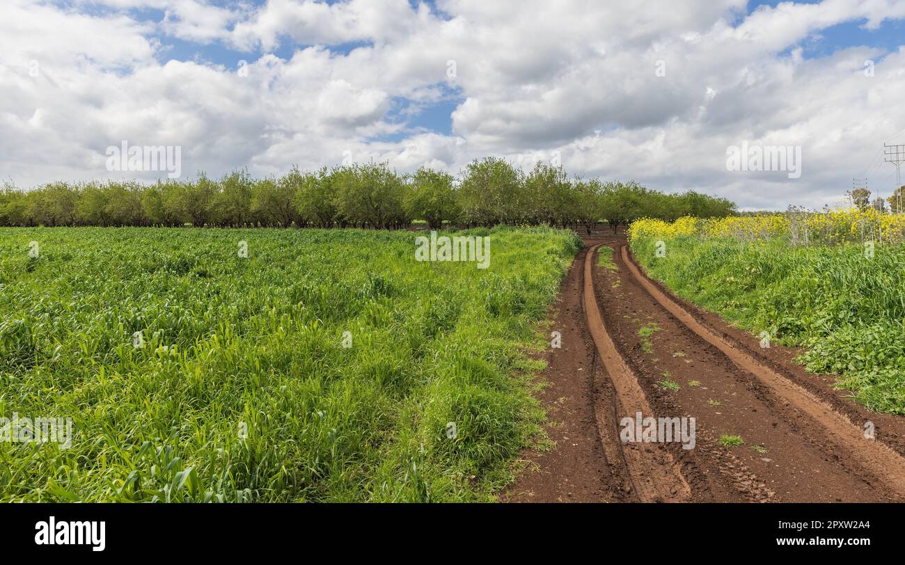 beautiful landscape with a road in northern Israel Stock Photo - Alamy