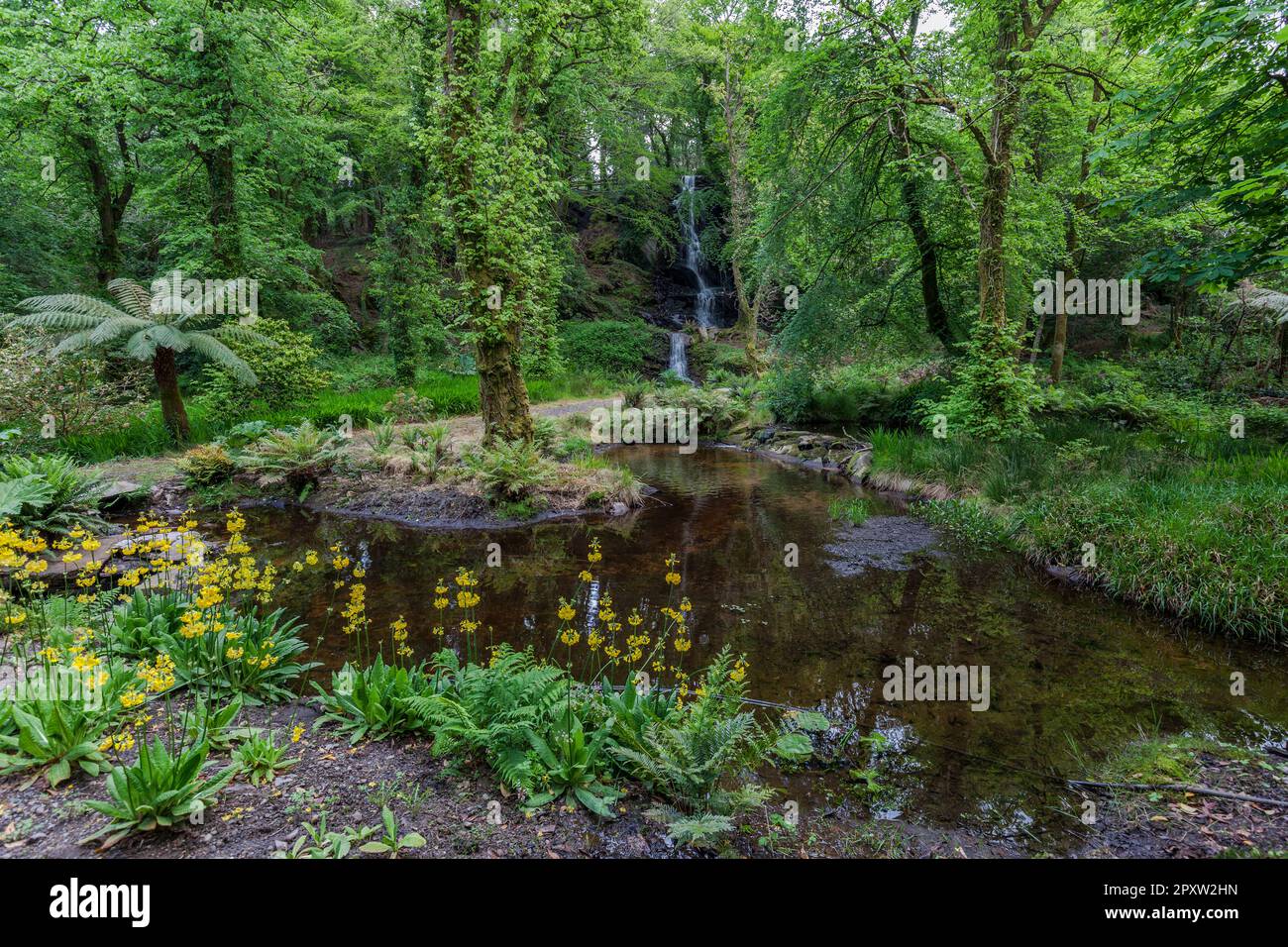 Kells Bay sub tropical botanical gardens in Kells, County Kerry within ...
