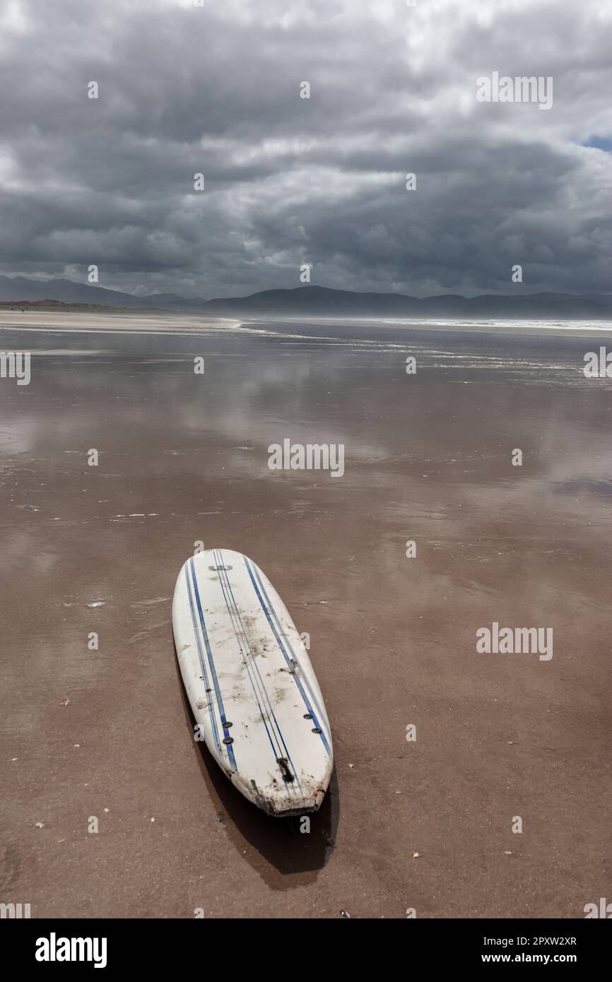 Blue flag Inch Beach or An Inse on Dingle Peninsula by Dingle Bay ...