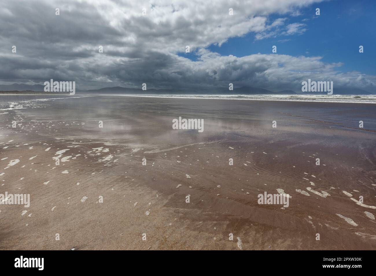 Blue flag Inch Beach or An Inse on Dingle Peninsula by Dingle Bay ...