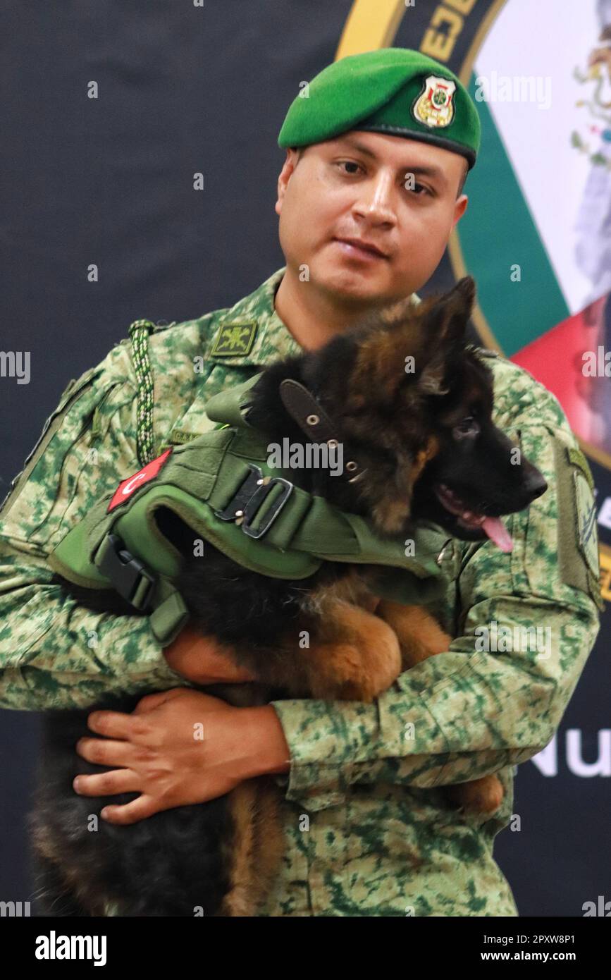Mexico City, Mexico. May 02, 2023 in Mexico City, Mexico: Military ...