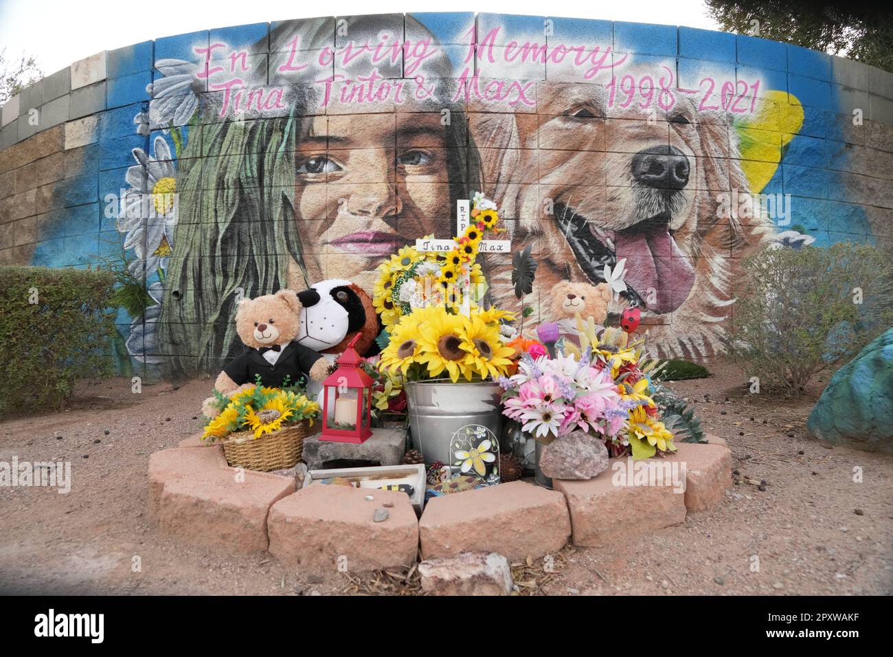 A memorial for Tina Tintor, 23, and her golden retriever pet dog ...