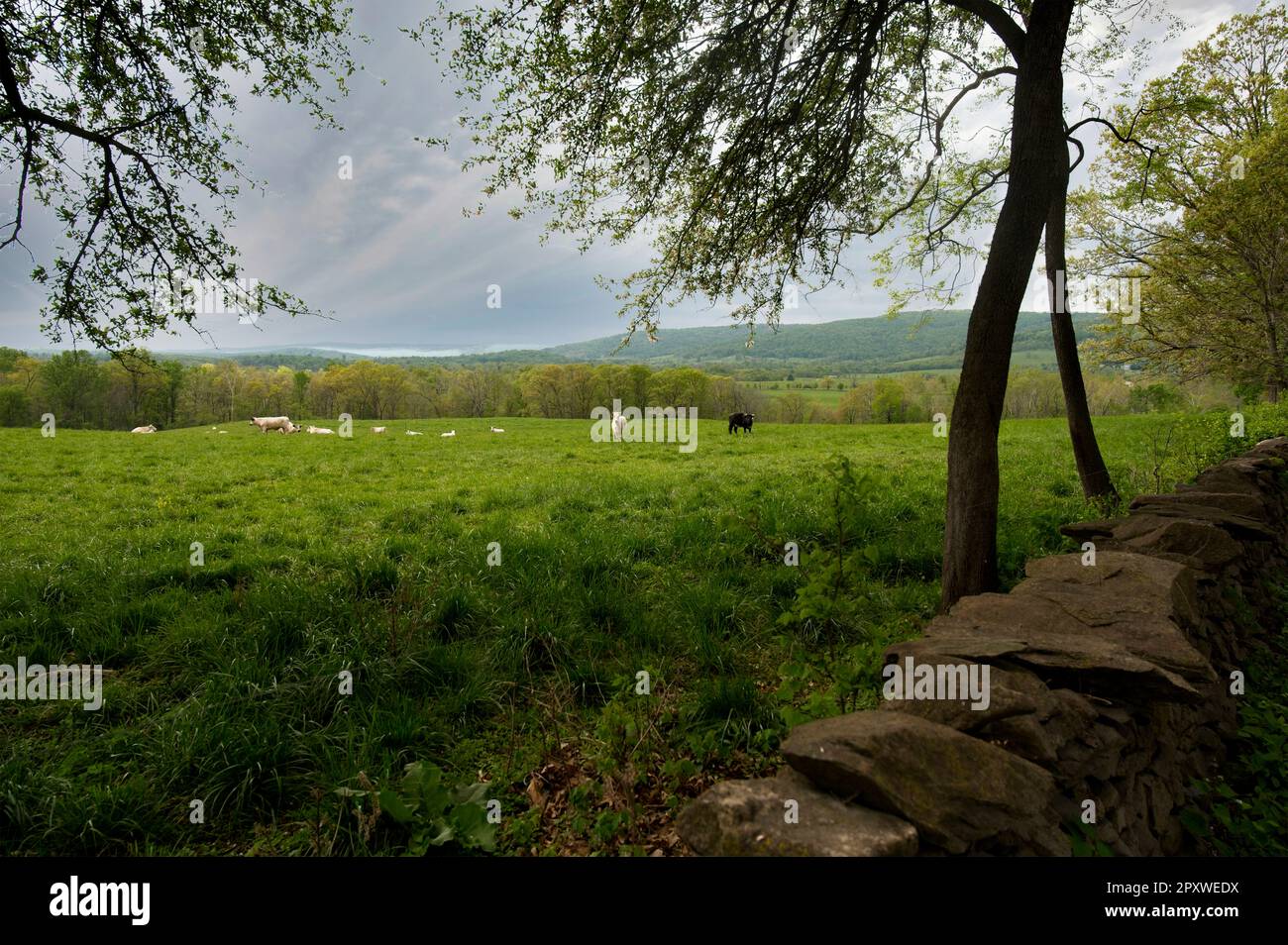 United States: April, 15 2023: Millville Road near Upperville. Photo by ...