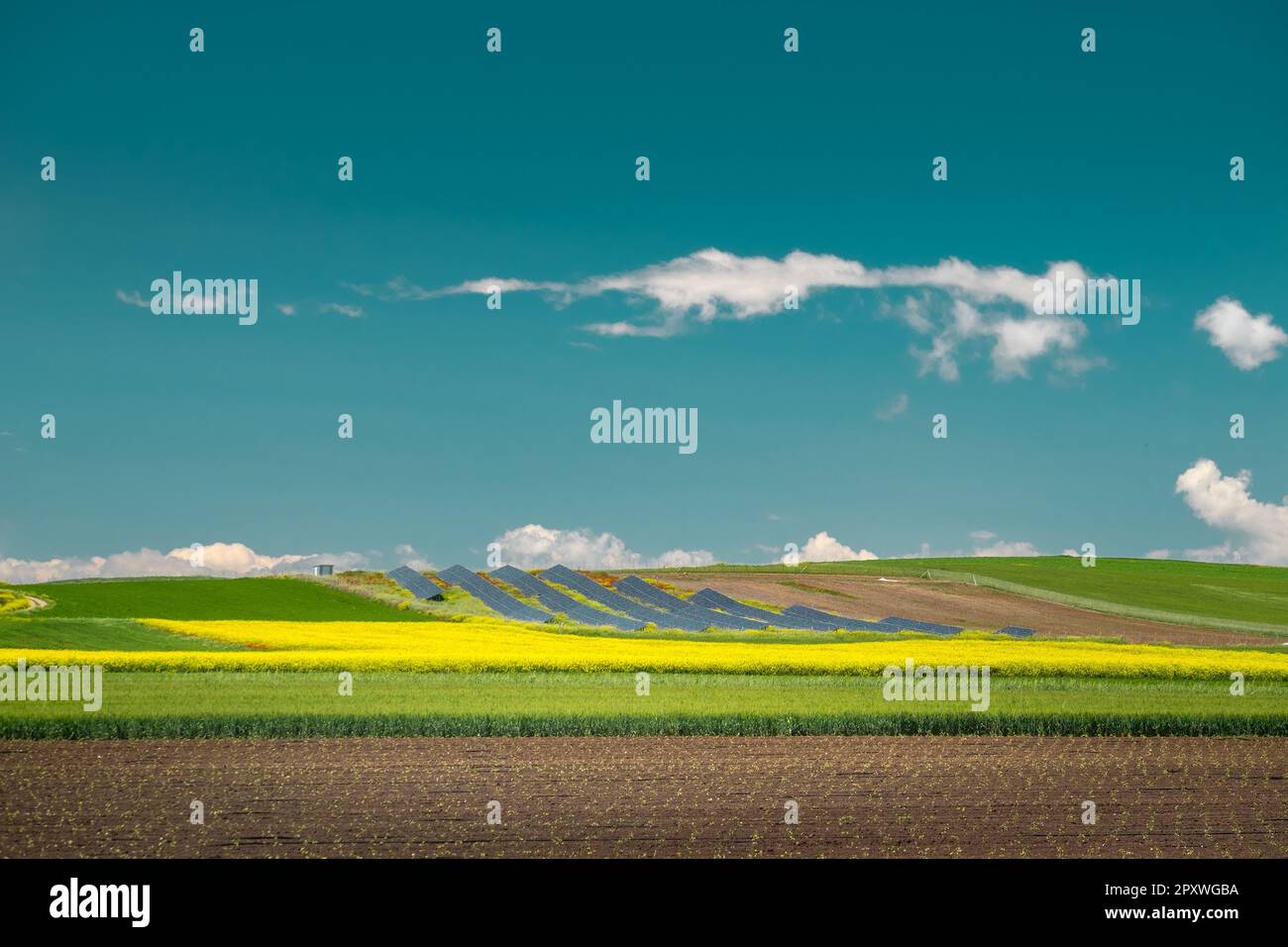 Renewable energy sources of solar panels installed in a field ...