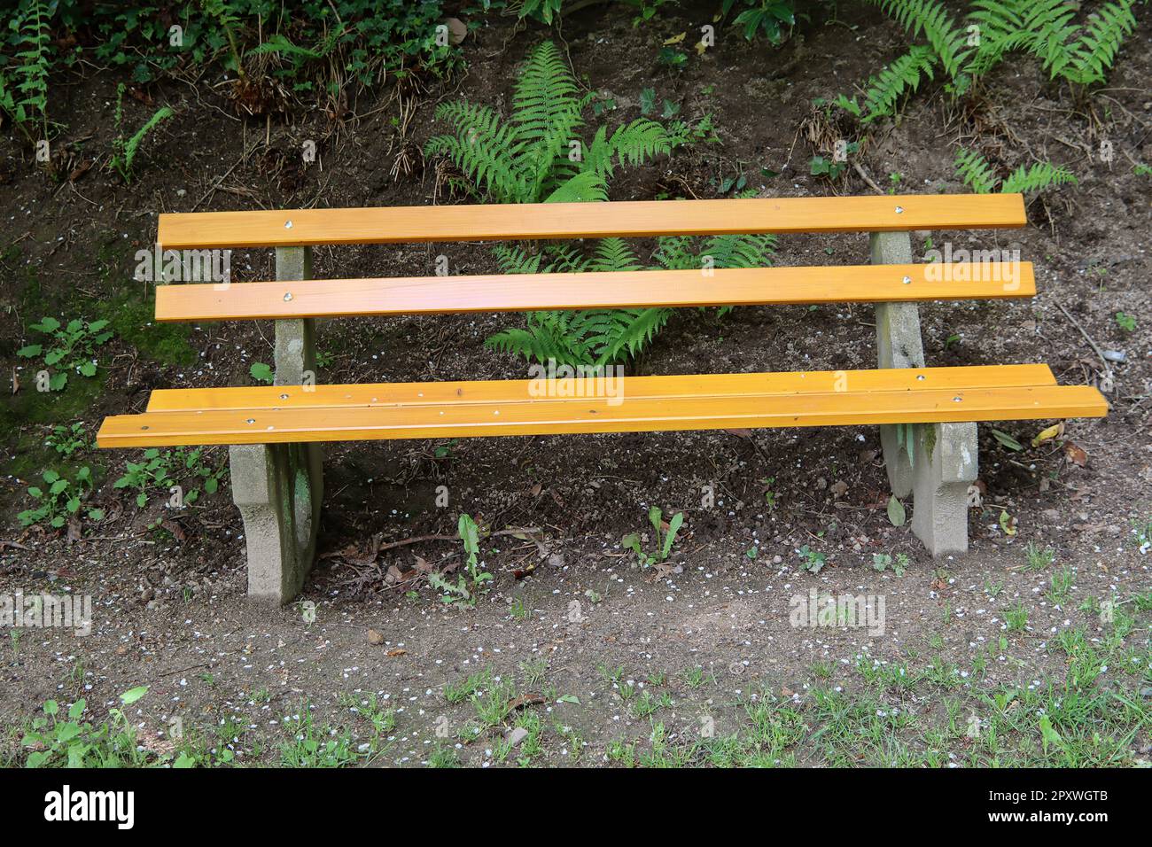 Yellow Bench On The Edge Of The Forest Stock Photo - Alamy