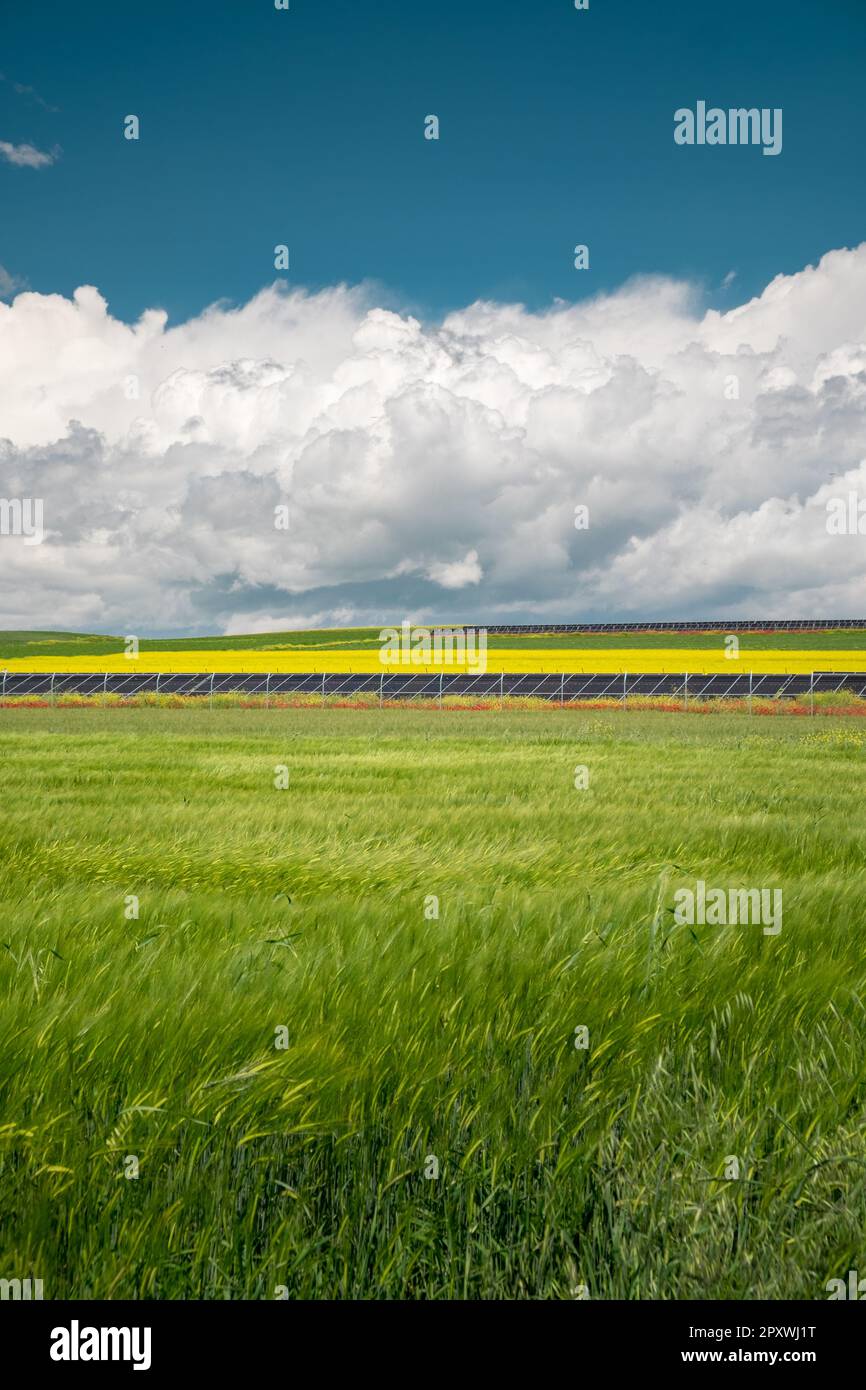Renewable energy sources of solar panels installed in a field ...