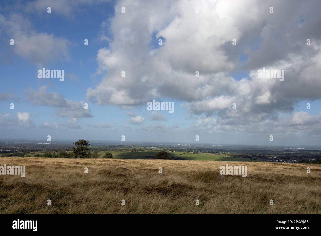 Autumn day Wheelton Moor The West Pennine Moors Lancashire England ...