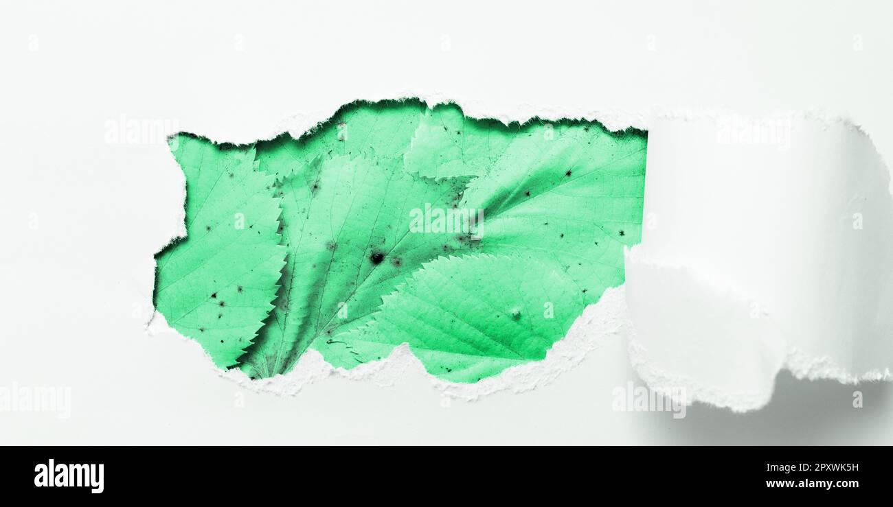 Important Information Written Under Ripped Piece Of Paper. New Ideas ...