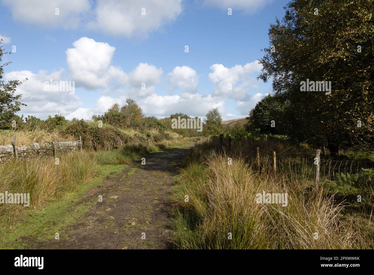 Footpath White Coppice the West Pennine Moors Lancashire England Stock ...