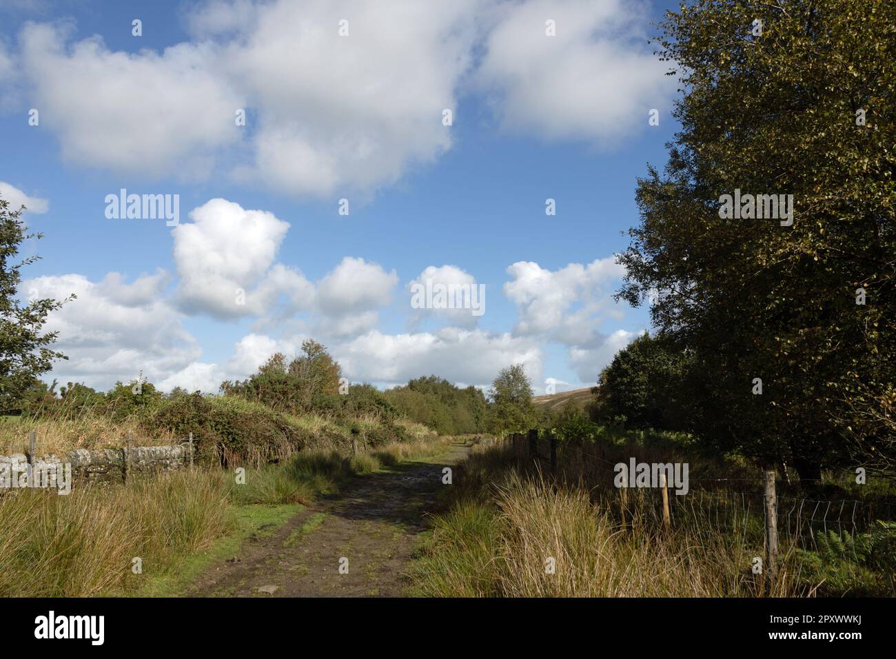 Footpath White Coppice the West Pennine Moors Lancashire England Stock ...
