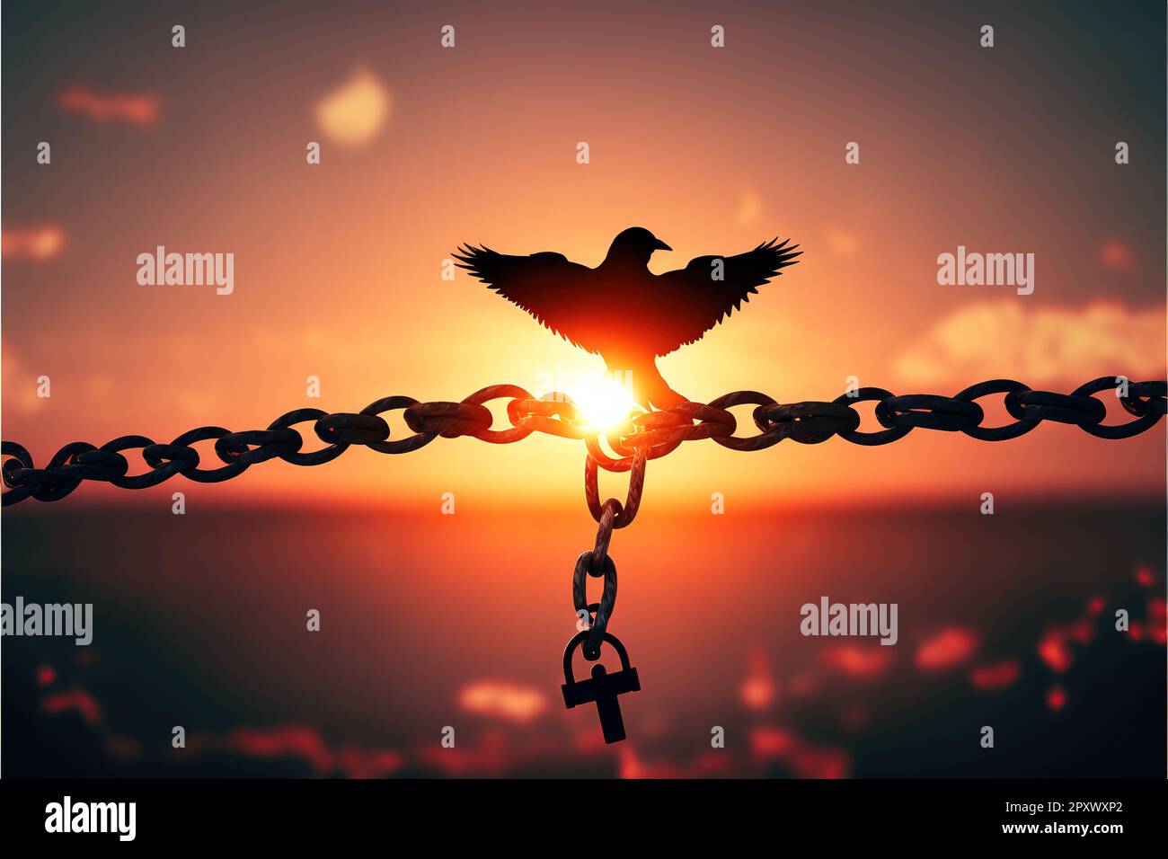 Individual human right day concept: Silhouette of bird flying and ...