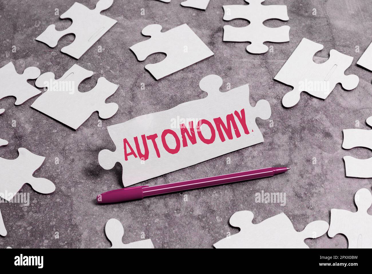 Writing Displaying Text Autonomy Internet Concept Vehicle That Can Guide Itself Without Human