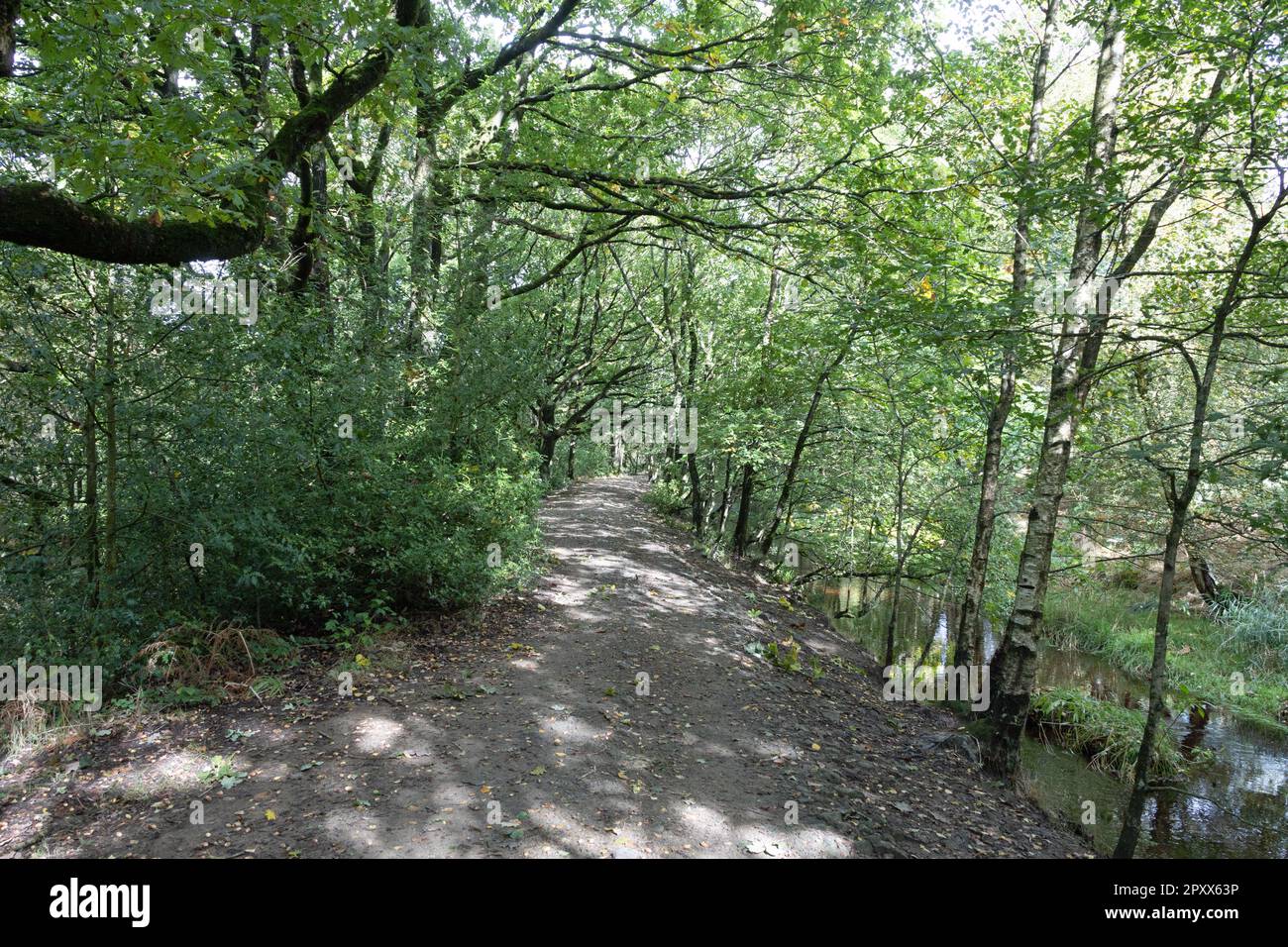 Woodland path leading from Brinscall through Wheelton Plantation to ...