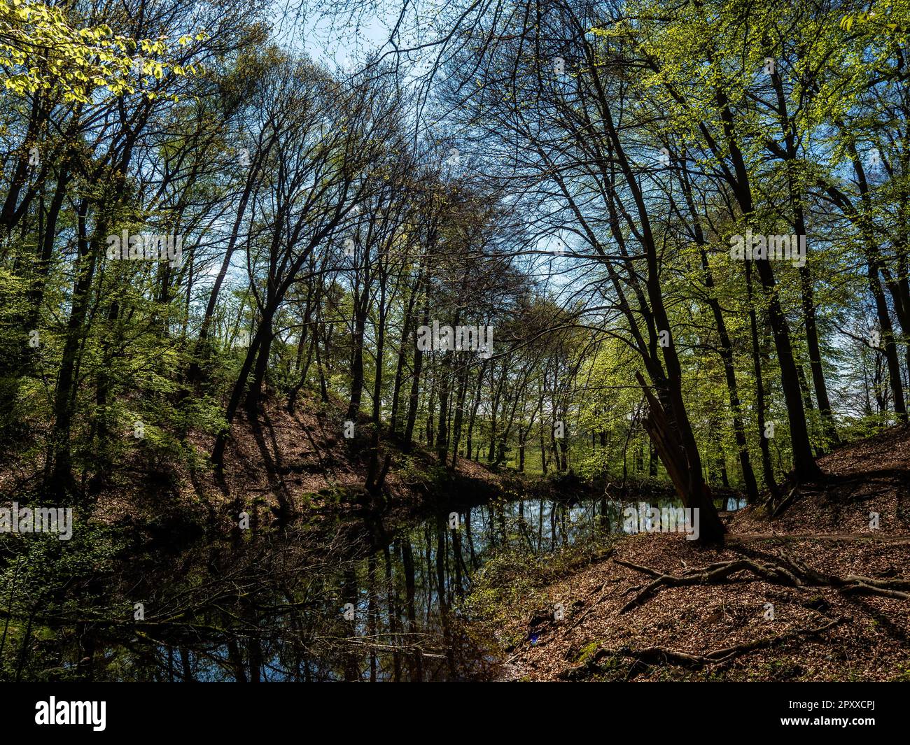 Mook Molenhoek, Netherlands. 30th Apr, 2023. A view of a lake ...