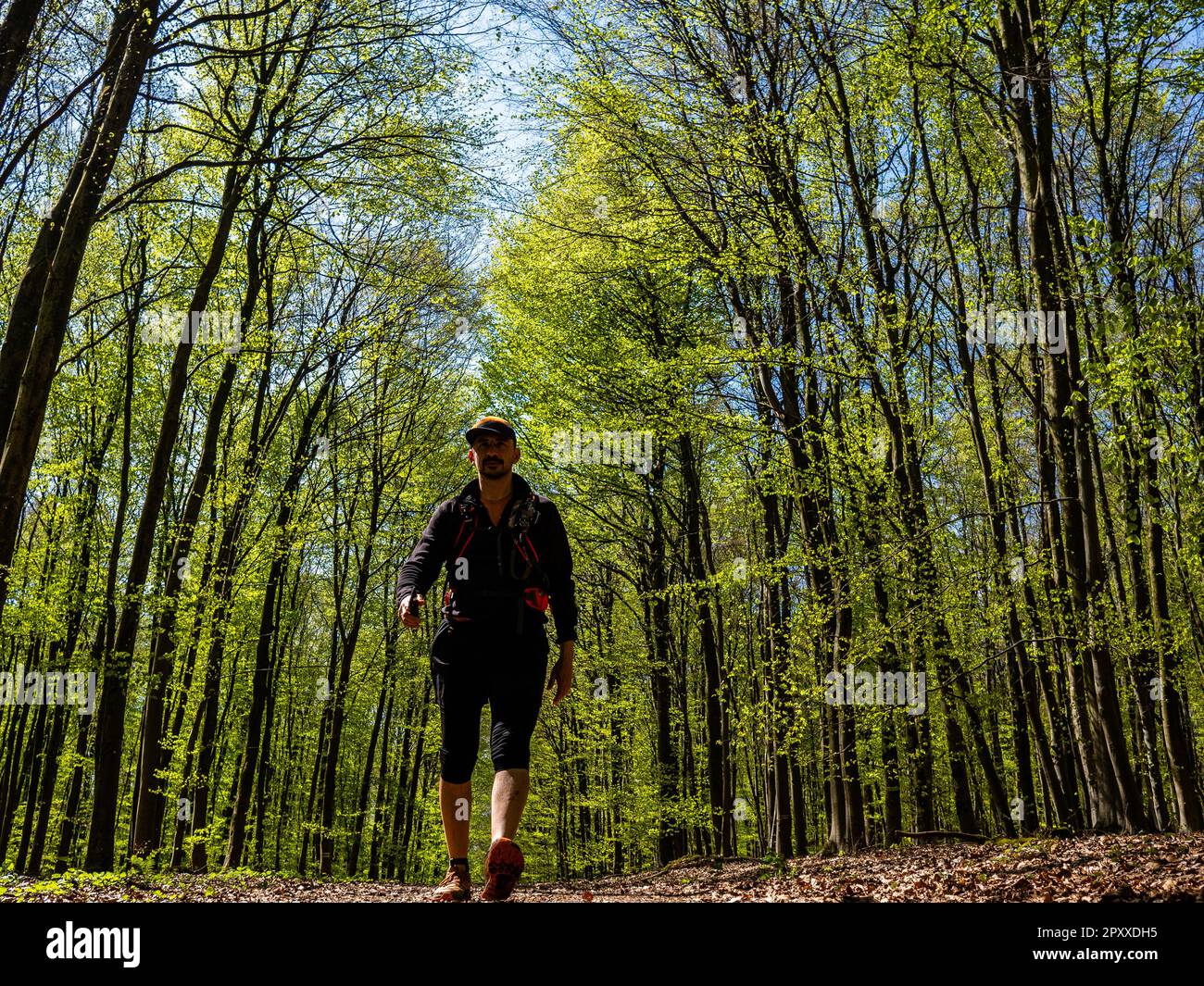 Spring constant of a spring hi-res stock photography and images - Alamy