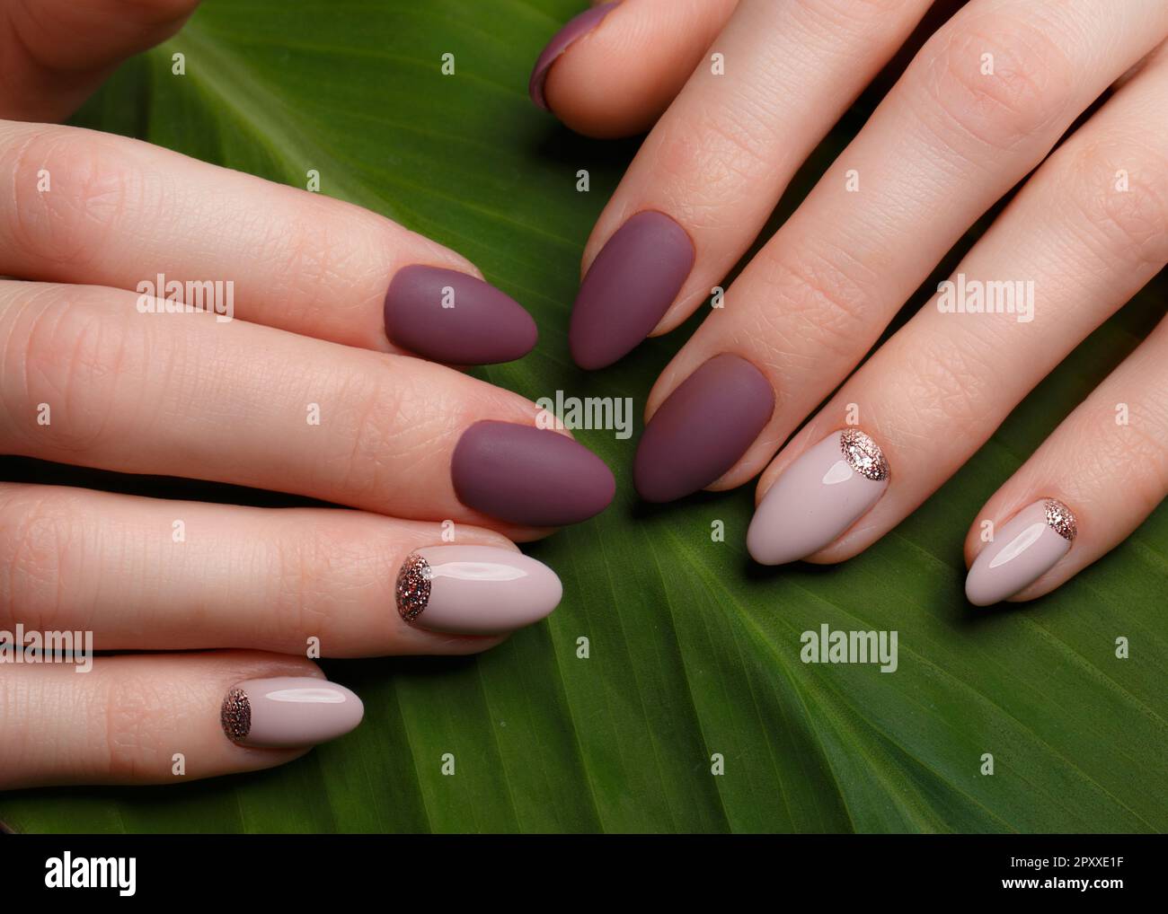 Tender neat manicure on female hands on a background of green leaves ...