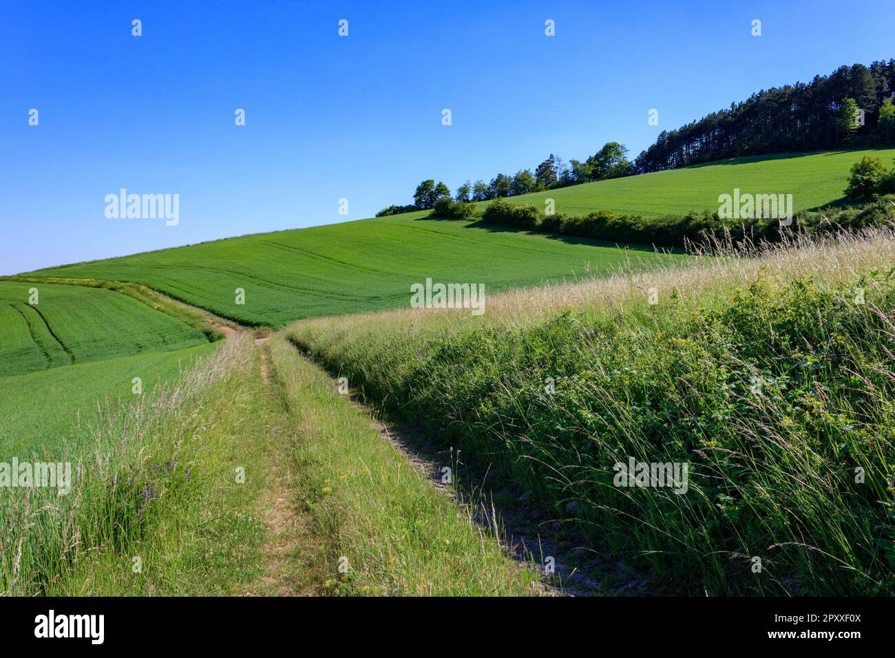 Idyllic Rural Landscape with Path through Green Fields and Rolling ...