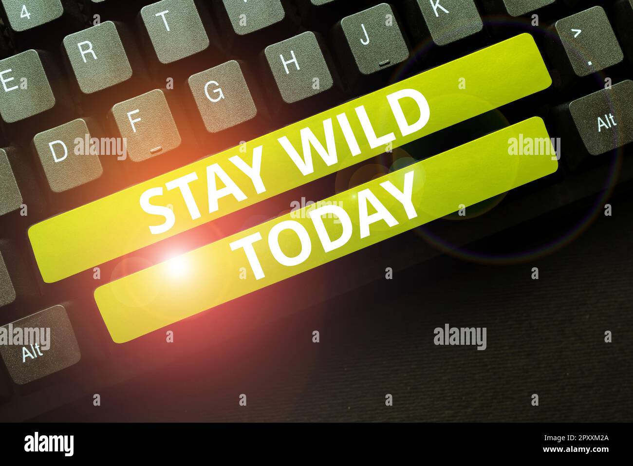 Text showing inspiration Stay Wild, Business approach keep being you ...