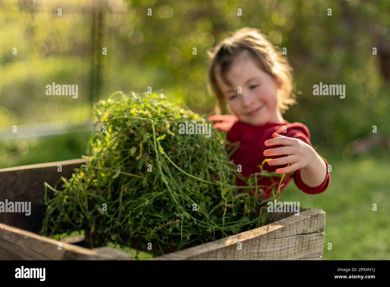 Girl throws hi-res stock photography and images - Alamy