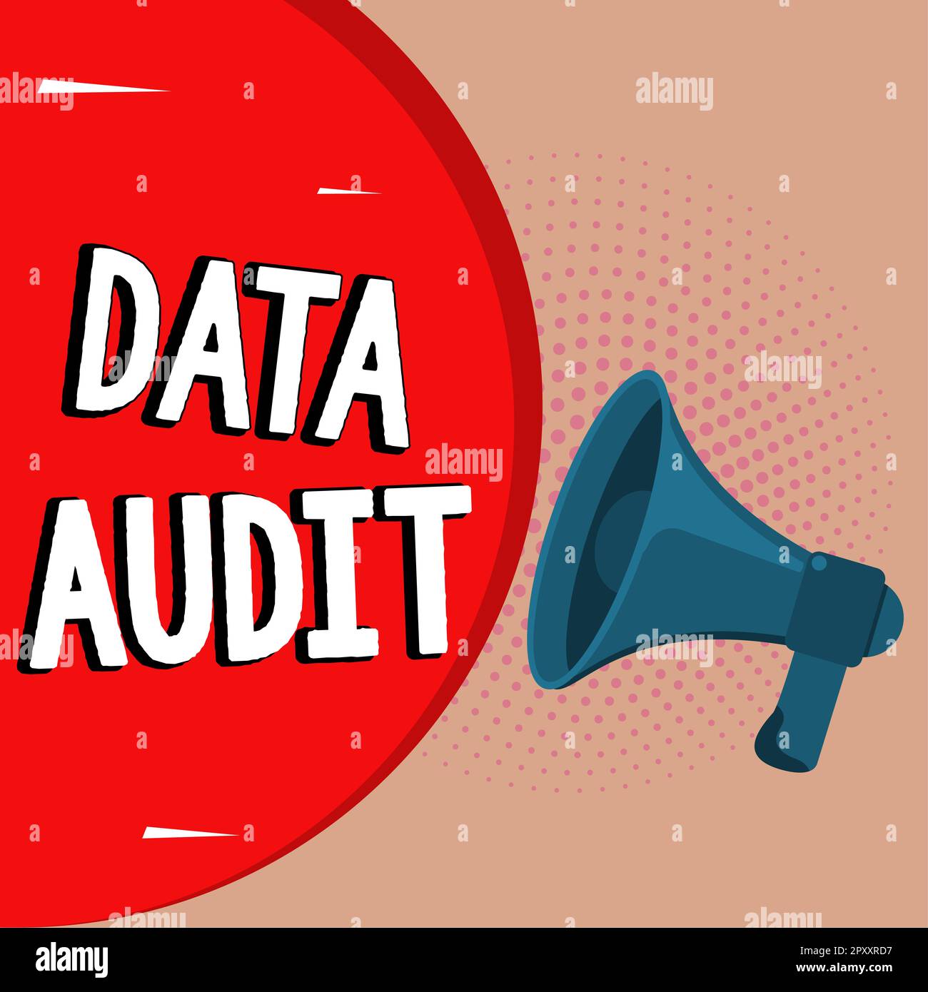 Conceptual display Data Audit, Business overview auditing of data to ...