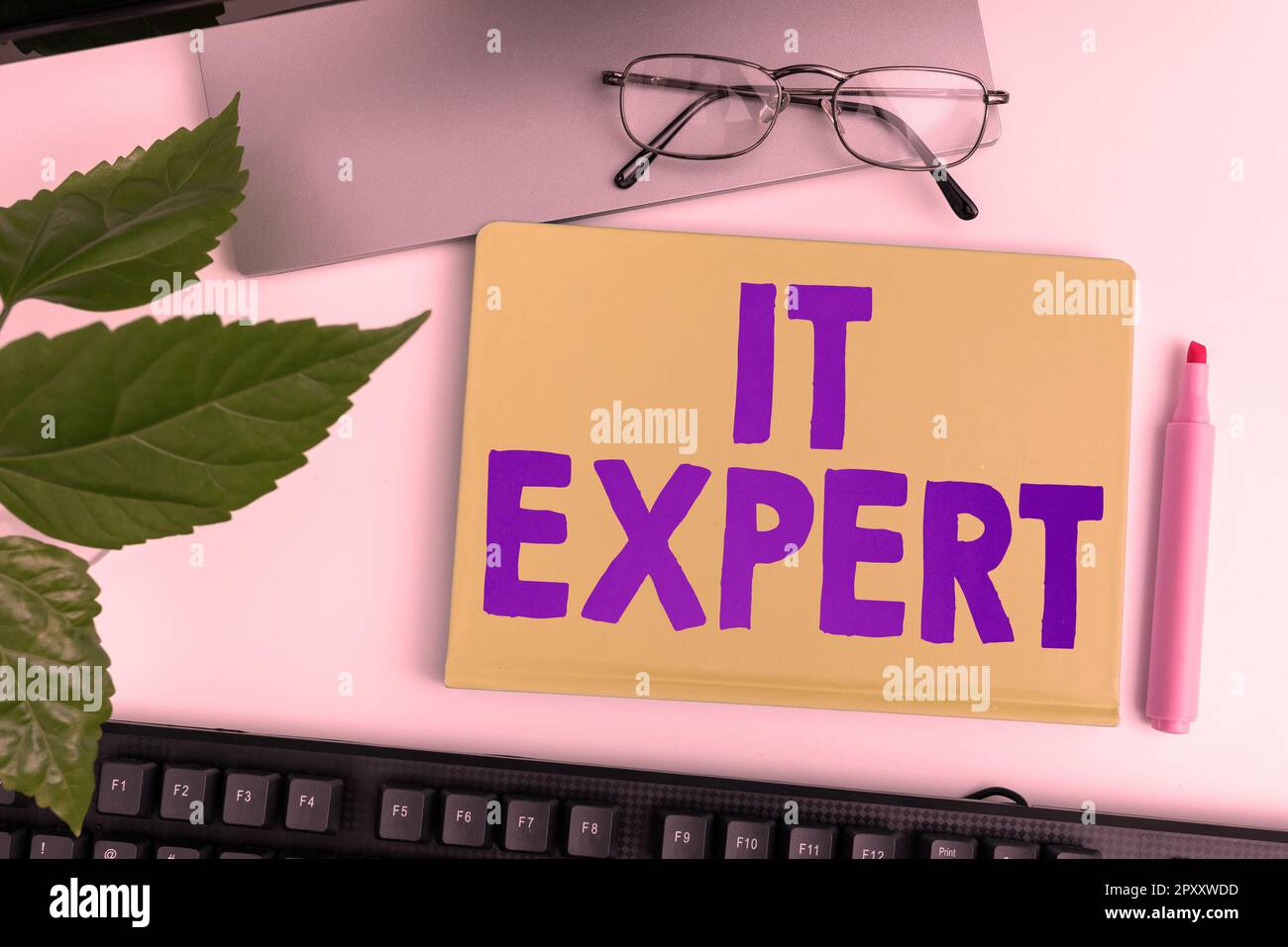 Handwriting text It Expert, Business approach person with a high level ...