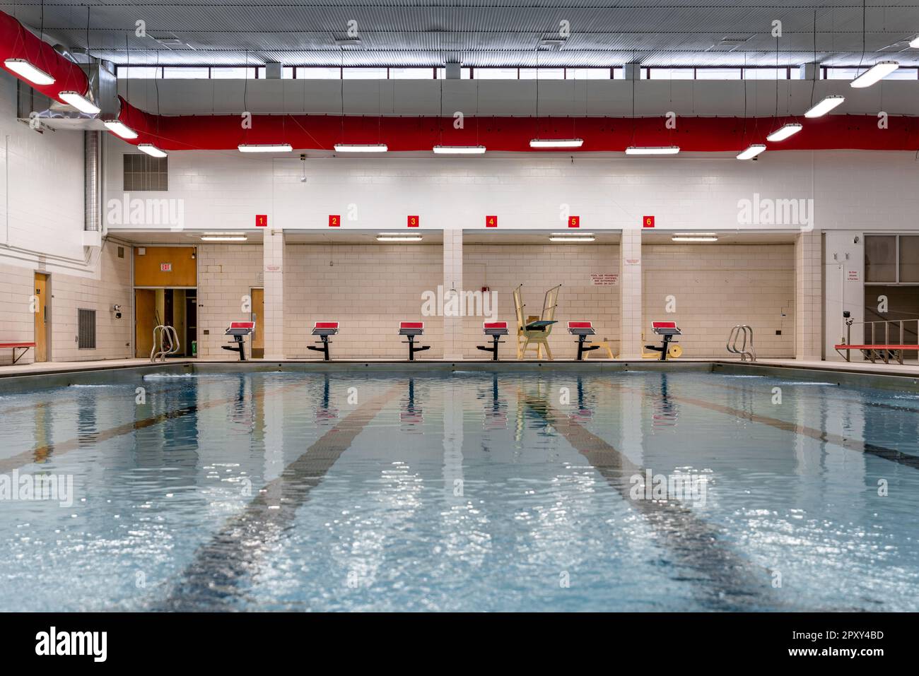 Starting block at a public interior swimming pool / natatorium sports ...
