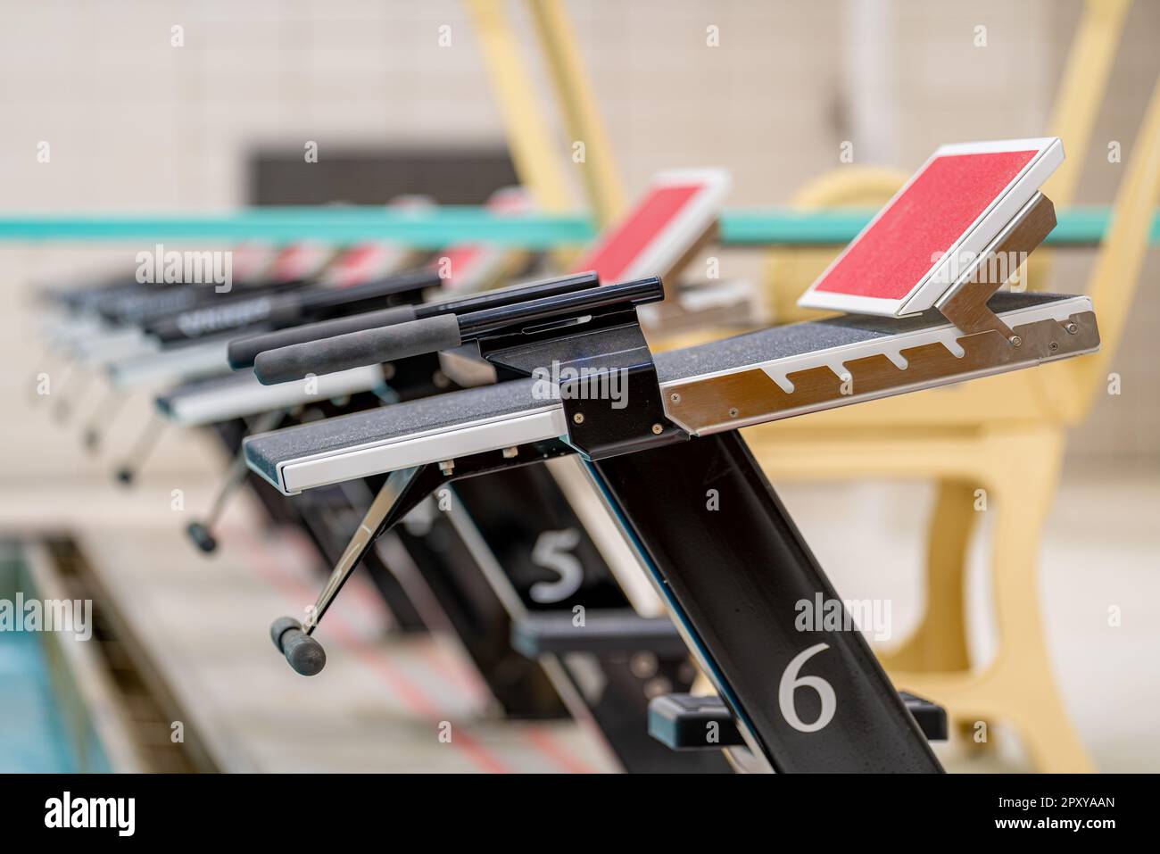 Starting block at a public interior swimming pool / natatorium sports ...