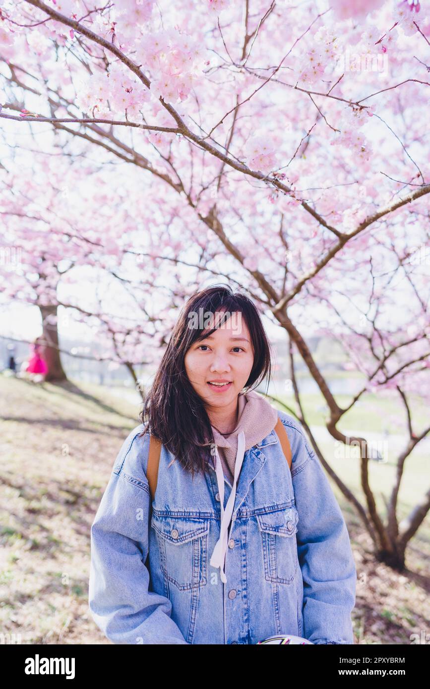 A girl standing under Sakura trees during Cherry blossom season Stock ...