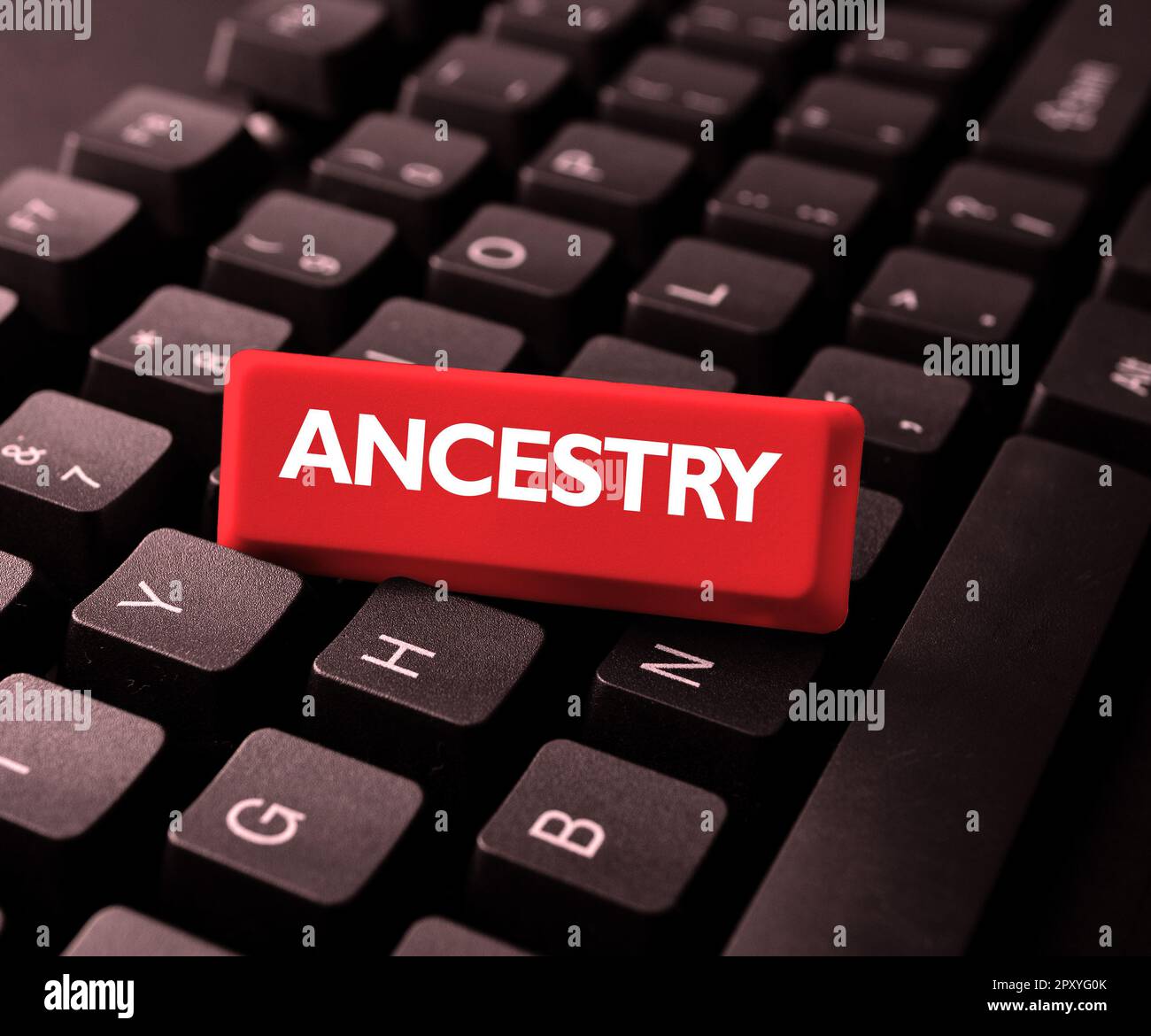 Conceptual display Ancestry, Word for the history or developmental ...