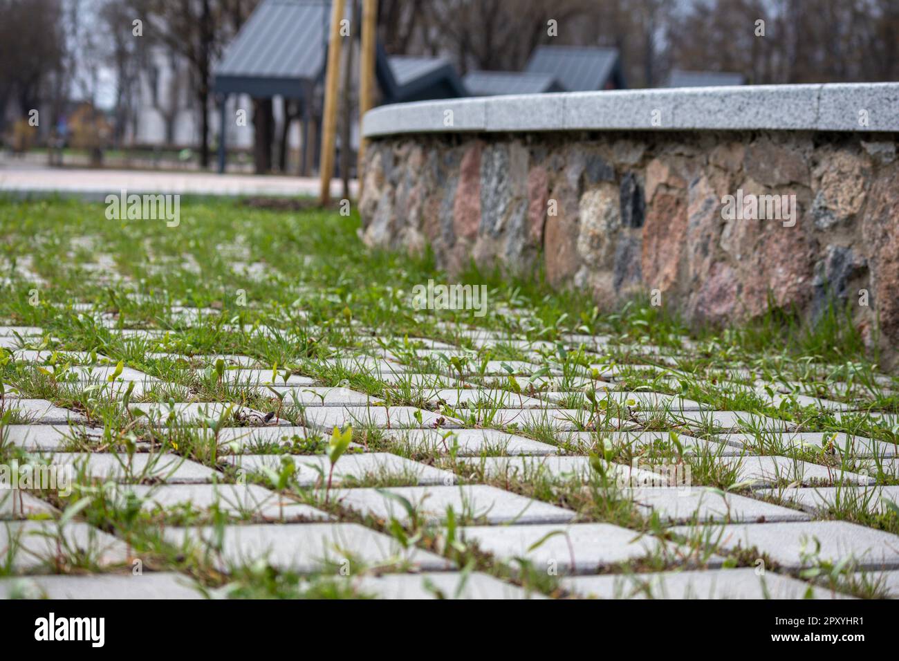 A brick walkway with grass growing in between it and a stone wall Stock ...