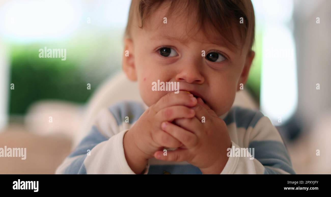 Cute baby tries acidic lemon, infant toddler face grimacing Stock Photo ...