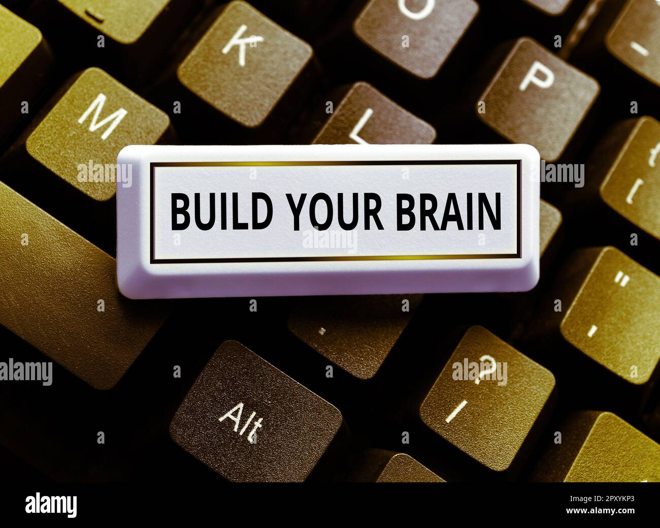 Text sign showing Build Your Brain, Business concept mental activities ...