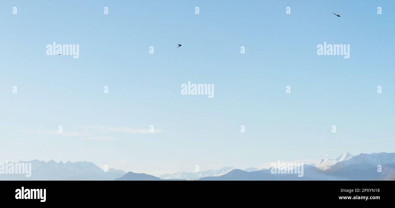 birds flying high in the sky above the mountains with copy space Stock ...