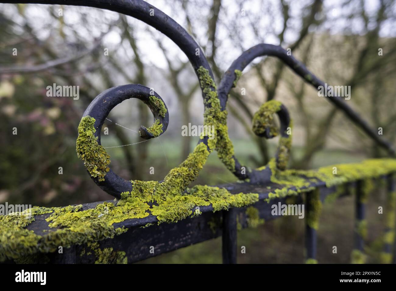 Detail of decoration with wrought iron, abandonment and destruction ...