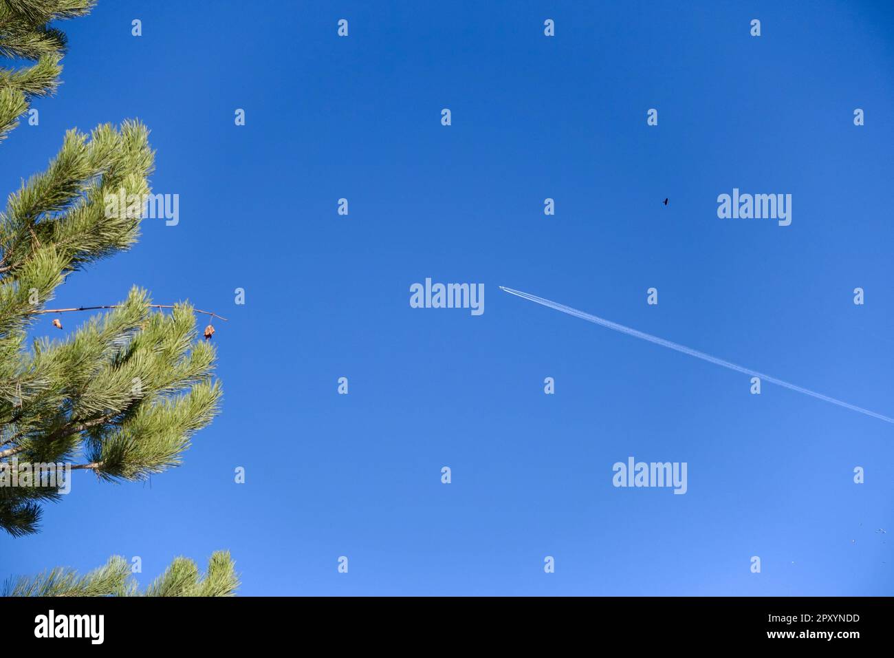 blue sky and two planes face to face, two planes in the air Stock Photo ...