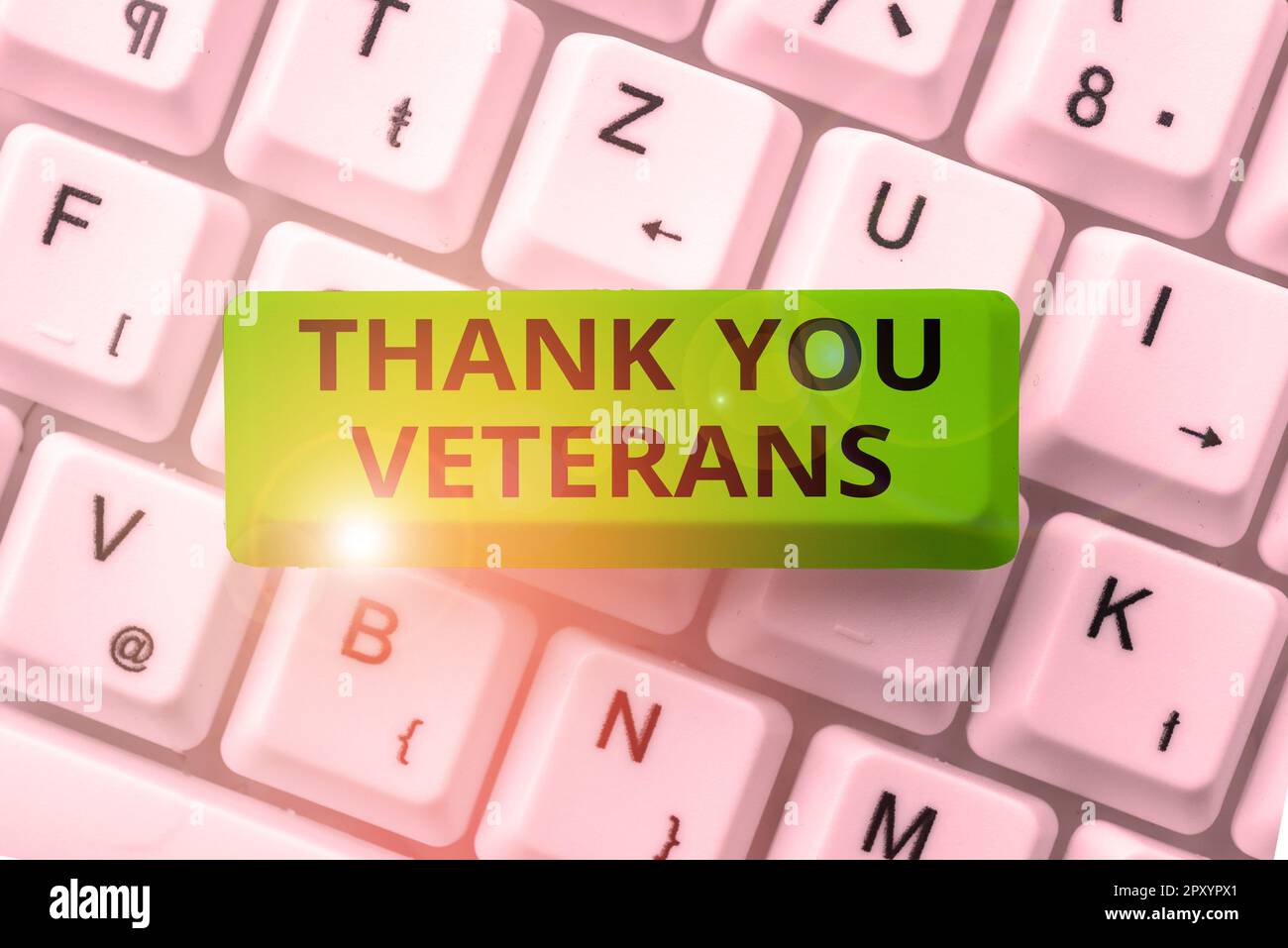 Text caption presenting Thank You Veterans, Word for Expression of ...