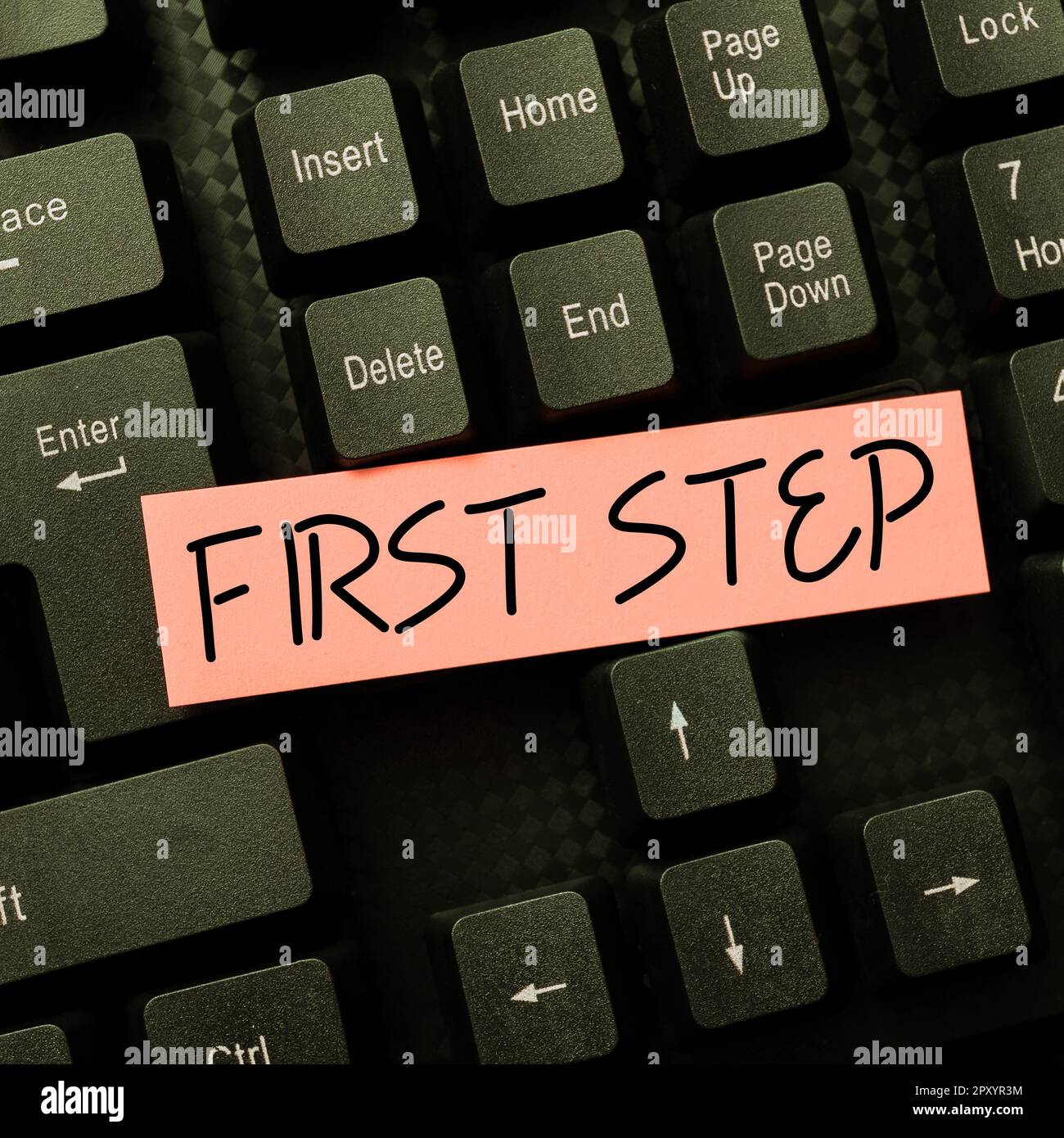 Text caption presenting First Step, Business overview Pertaining to the ...