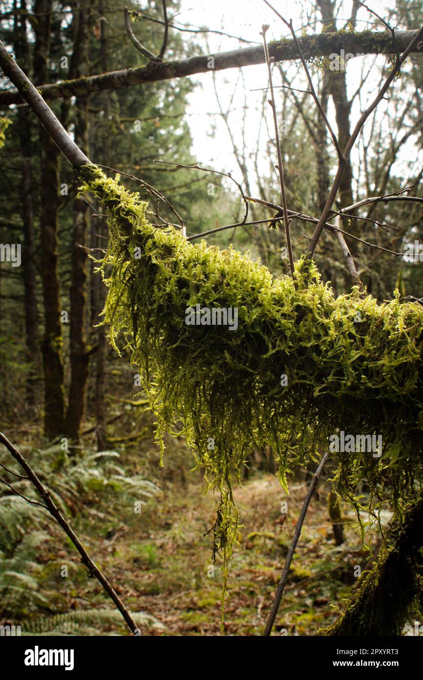 Photos along hiking trails hi-res stock photography and images - Alamy
