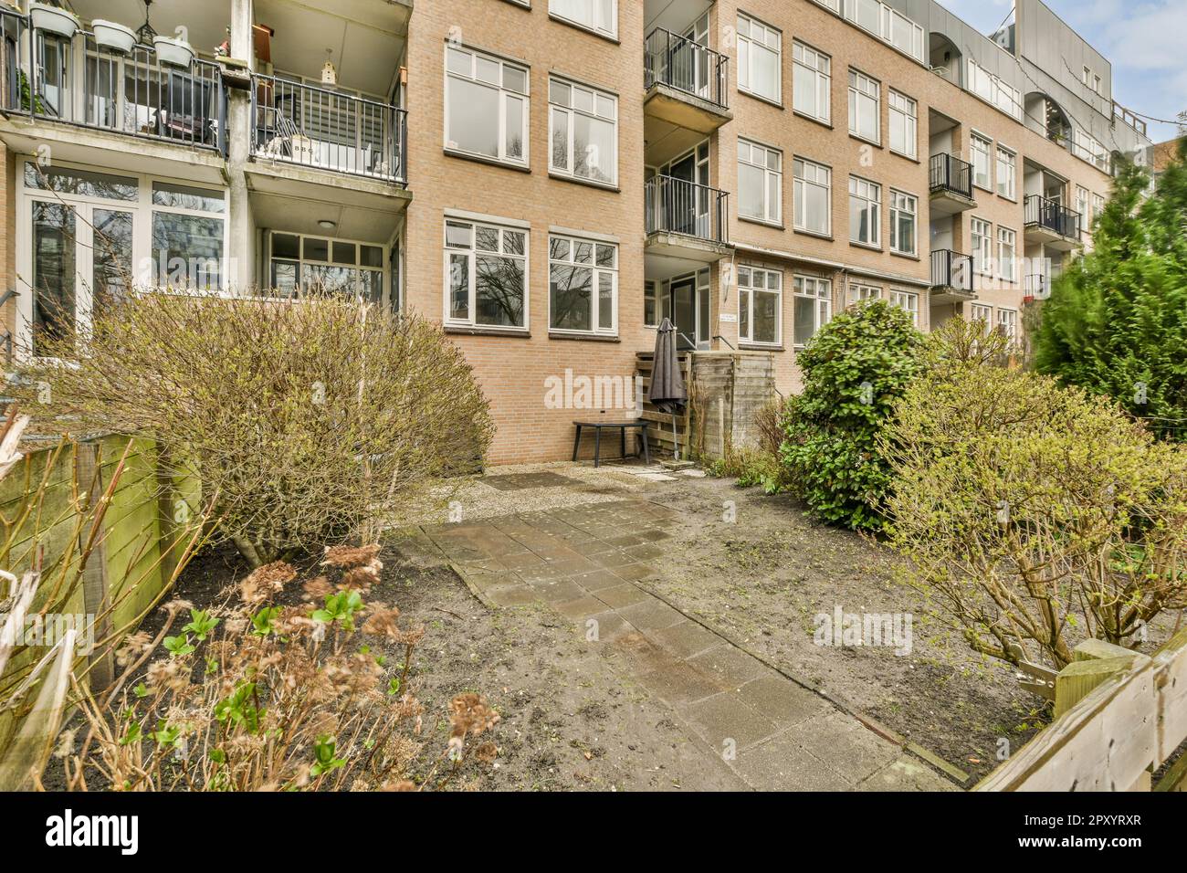 an outside area with some plants and bushes in the fore - eyed photo is ...