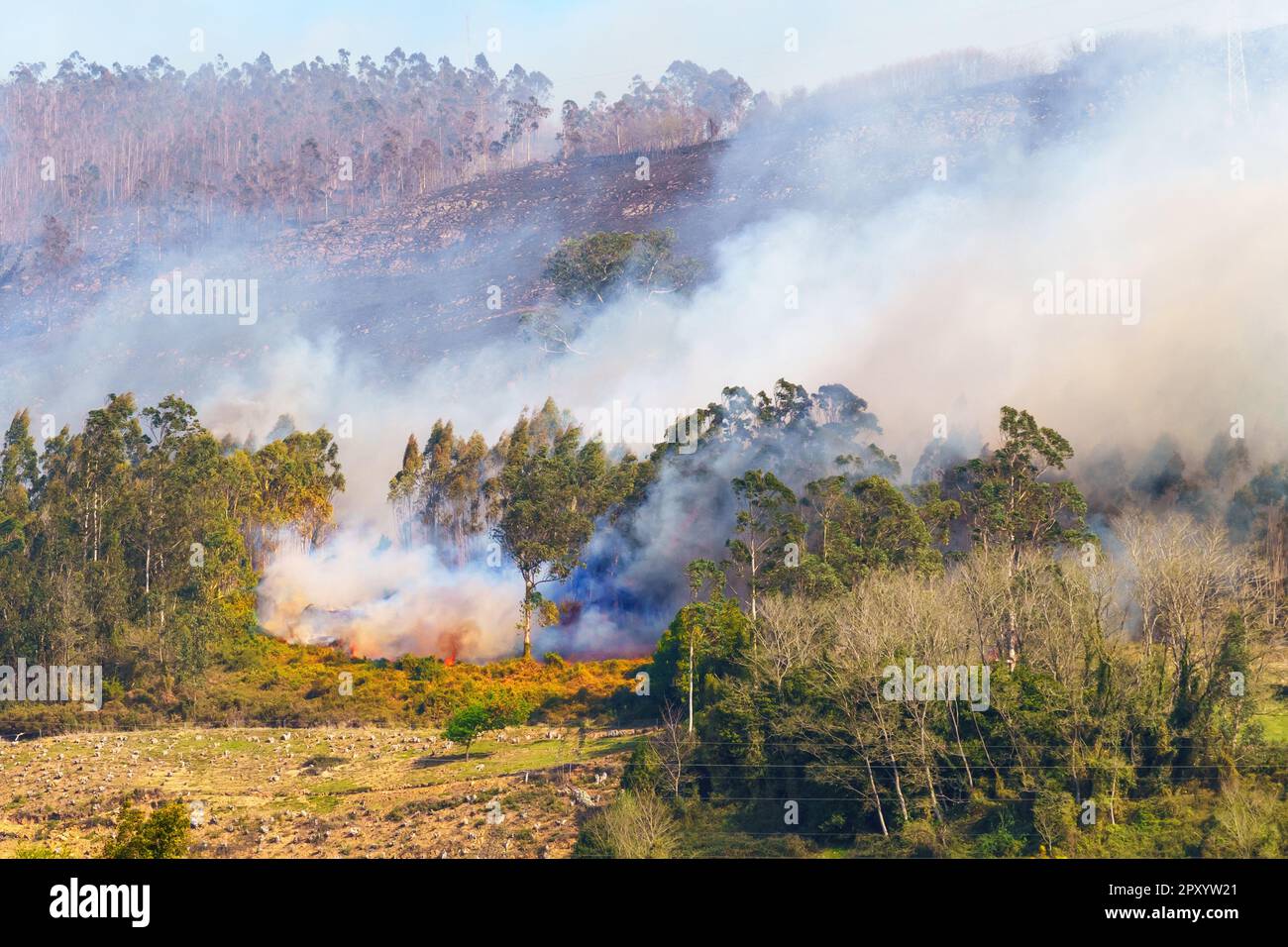 Burning mountain trees. Wildfire with smoke in dry hot season. Natural ...