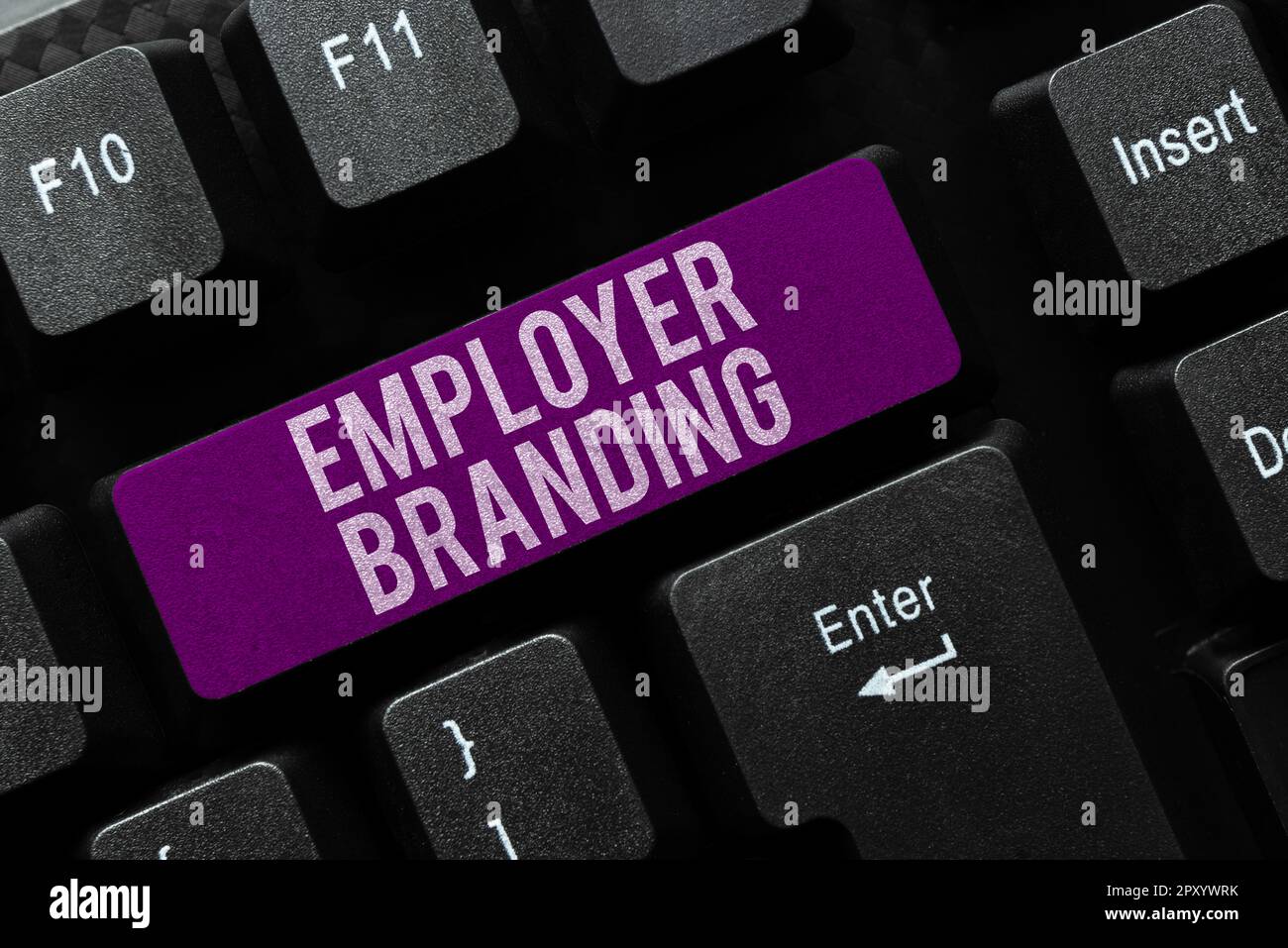 Inspiration showing sign Employer Branding, Business overview Process ...