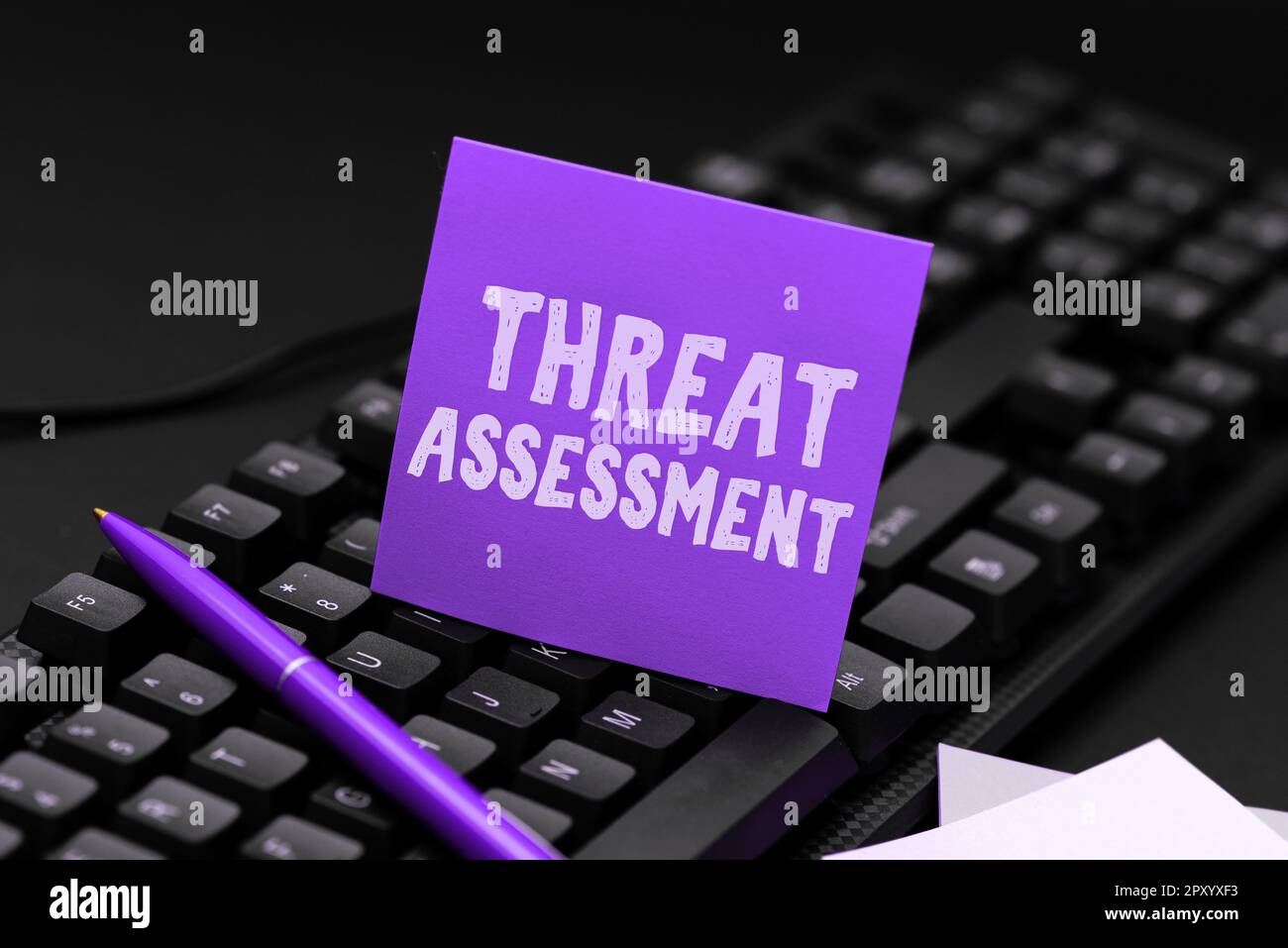 Text sign showing Threat Assessment, Business showcase determining the ...
