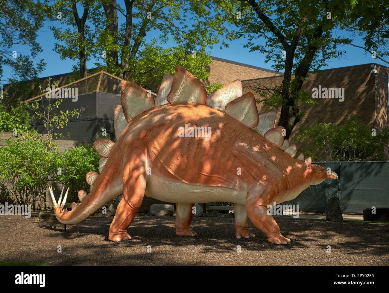 "Steggy," the popular full-scale stegasaurus model outside the Cleveland Museum of Natural ...