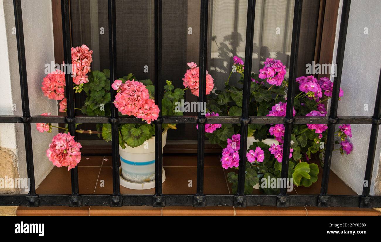 window base in town with pots and black bars Stock Photo - Alamy