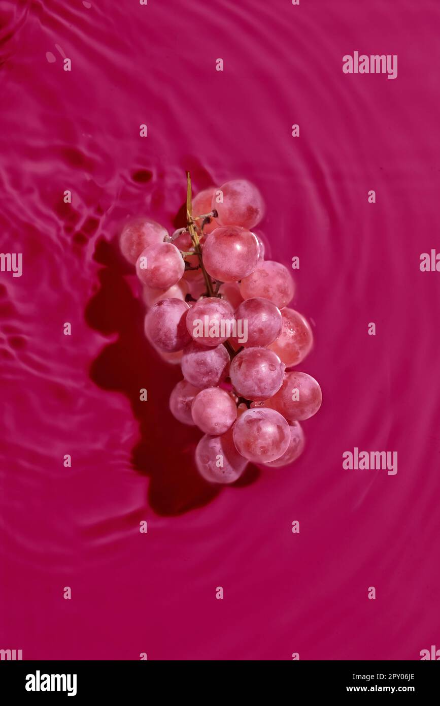 Tasty grapes in water on viva magenta background Stock Photo - Alamy
