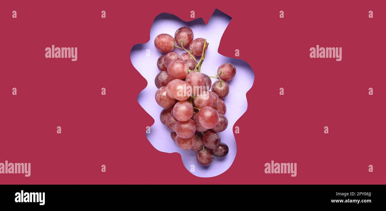 Ripe grapes and viva magenta paper. Banner for design Stock Photo - Alamy
