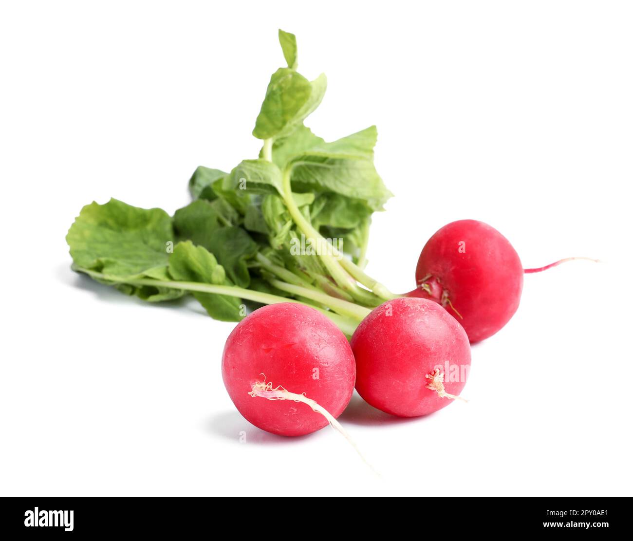Fresh radishes with leaves on white background Stock Photo - Alamy