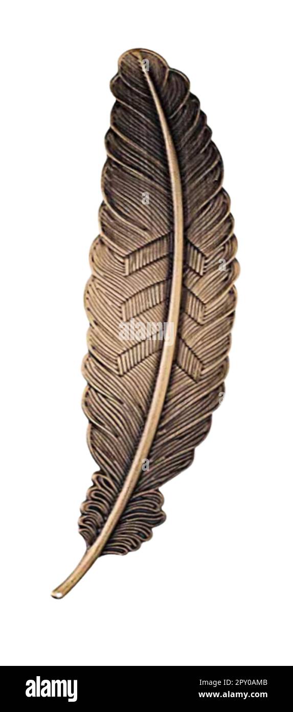 Bronze feather hi-res stock photography and images - Alamy